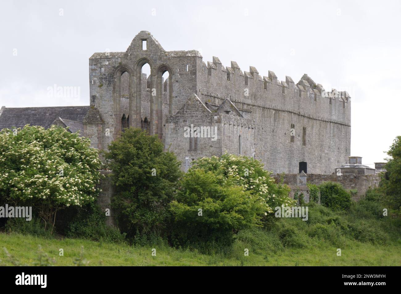 Exterior of Ardfert Cathedral County Kerry EIRE Ireland Stock Photo - Alamy