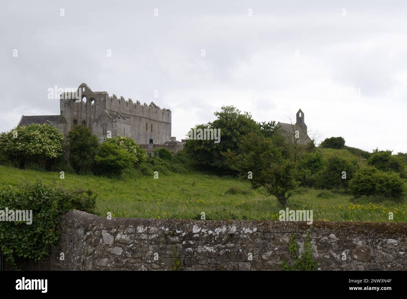Exterior of Ardfert Cathedral County Kerry EIRE Ireland Stock Photo - Alamy