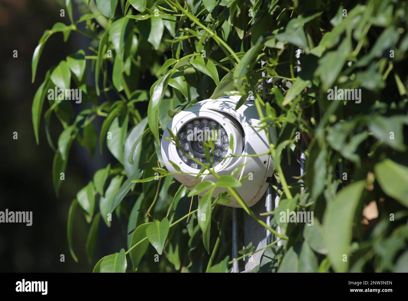 CCTV camera system, home security system concept, Security camera Stock ...