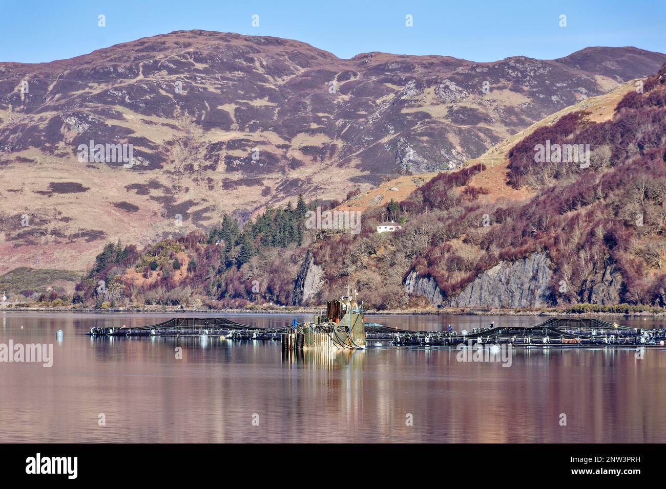 Loch Duich West Coast Scotland looking across the Loch to salmon farm ...