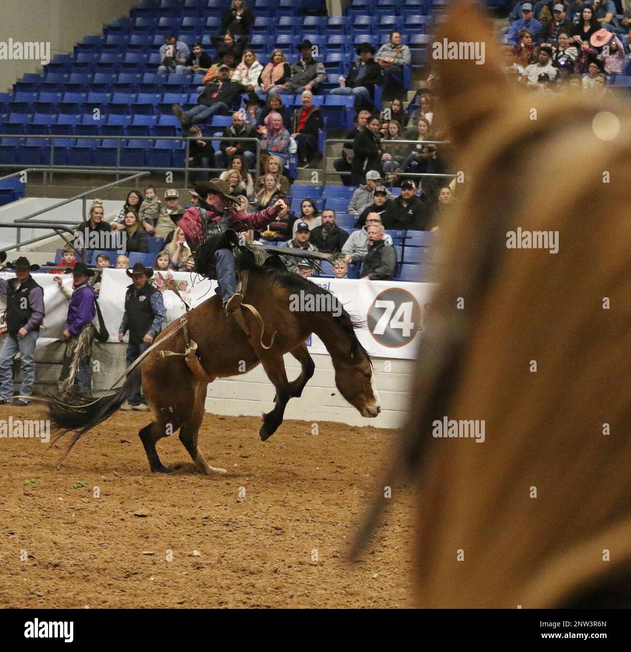 Jake Springer of Denton, Texas, competes in bareback riding during the ...