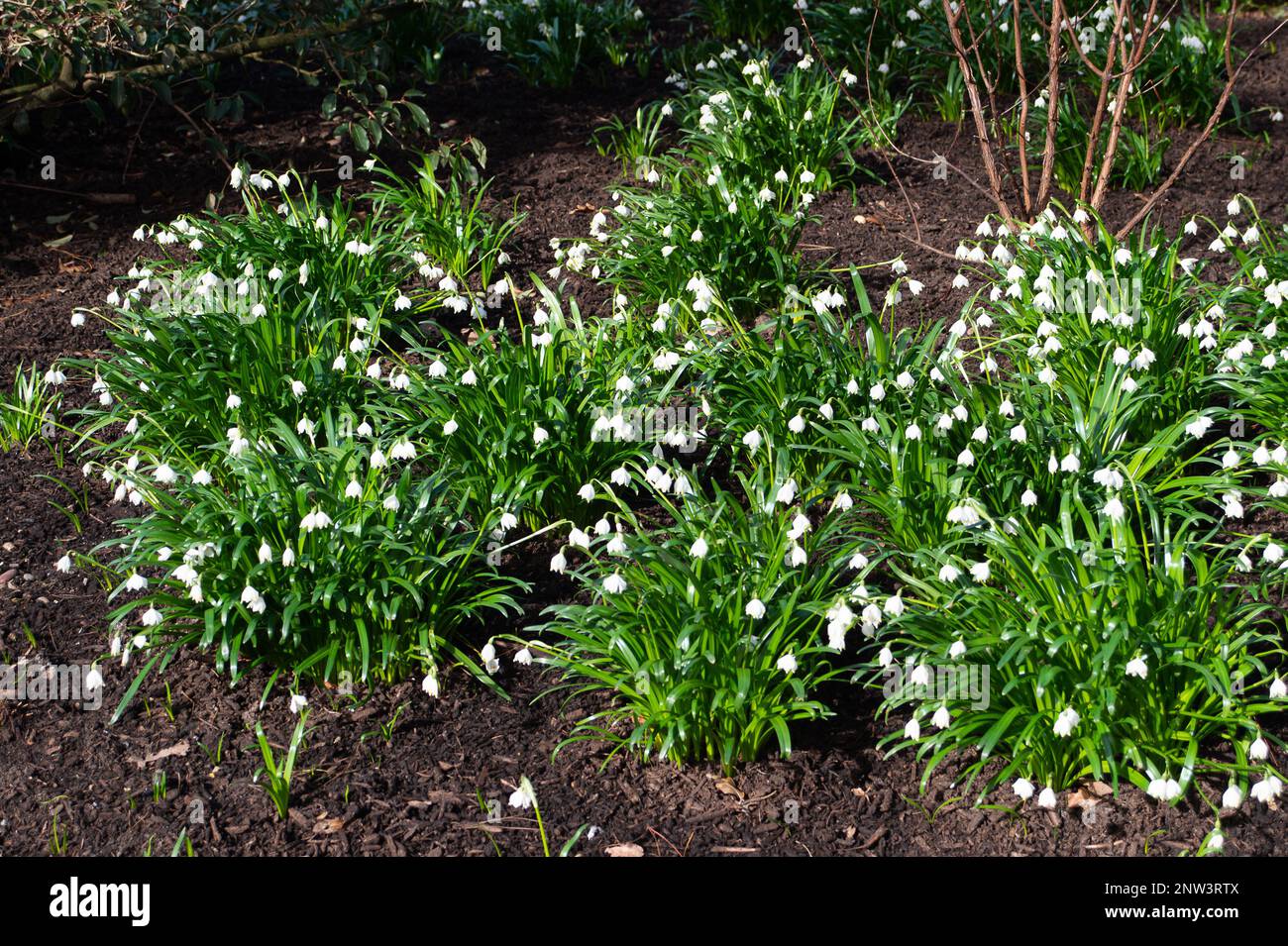 Places to visit near windsor hi-res stock photography and images - Alamy