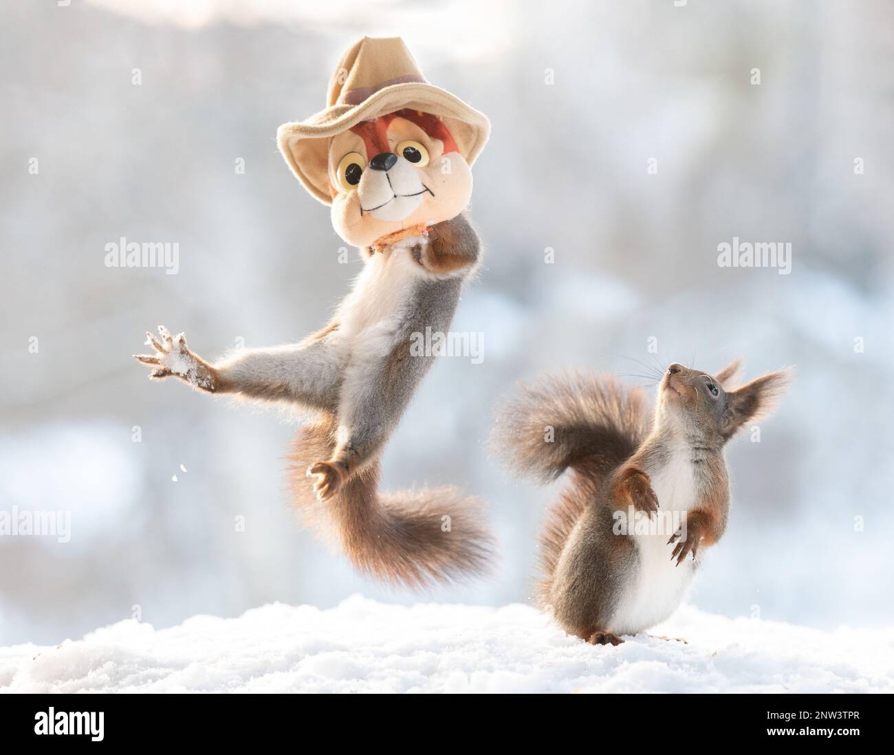 Animal mask play hi-res stock photography and images - Alamy