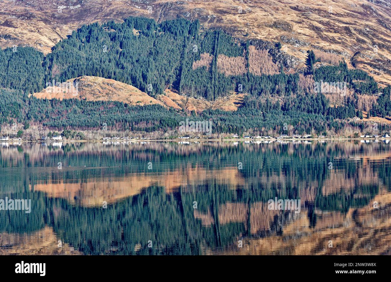 Loch Duich West Coast Scotland Shiel Bridge looking across the Loch ...