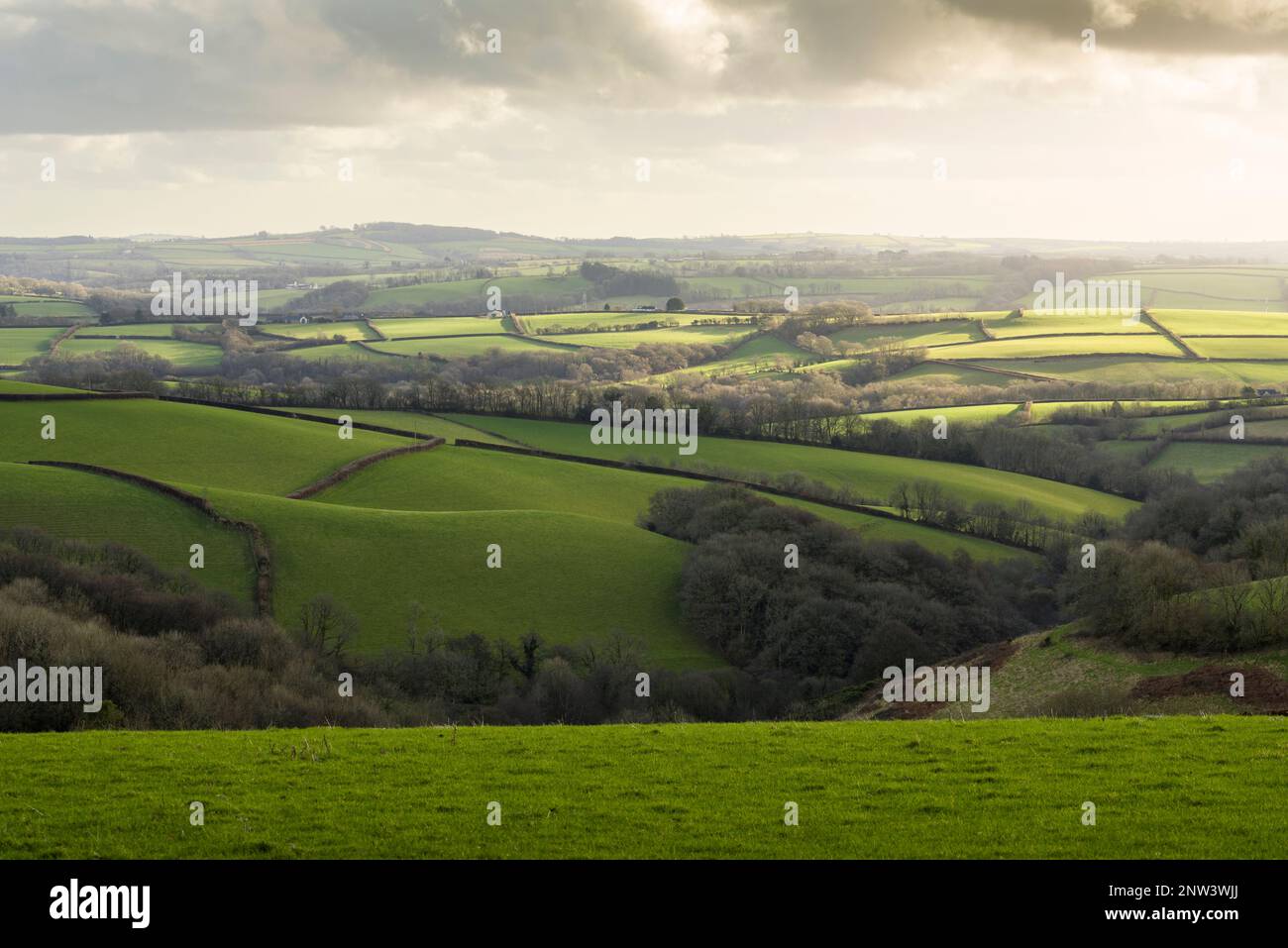 Dulverton winter hi-res stock photography and images - Alamy