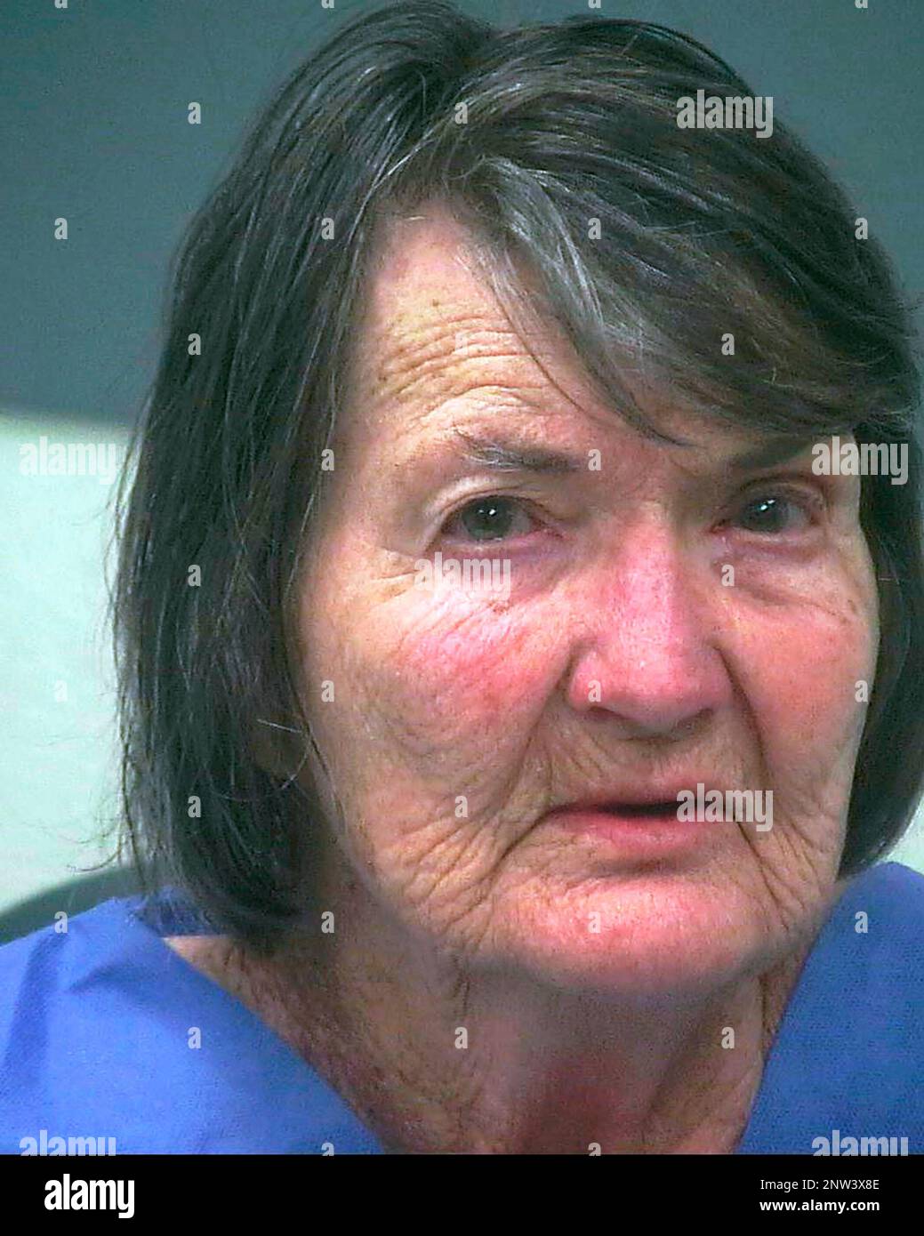 This Jan. 6, 2019 photo made available by the Santa Rosa County Sheriff ...