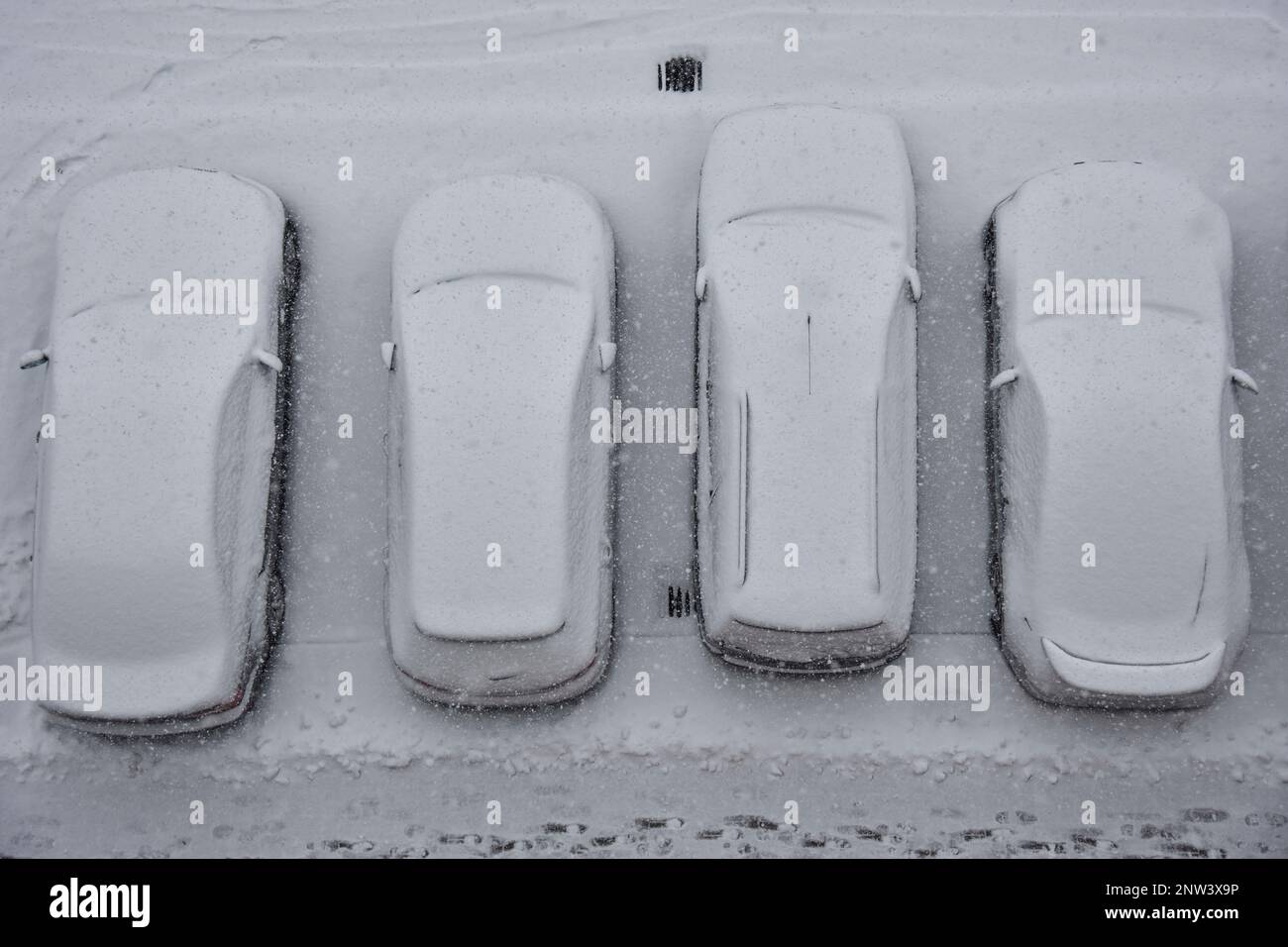 Parked cars are covered by the snow during heavy snowfall in Bratislava ...