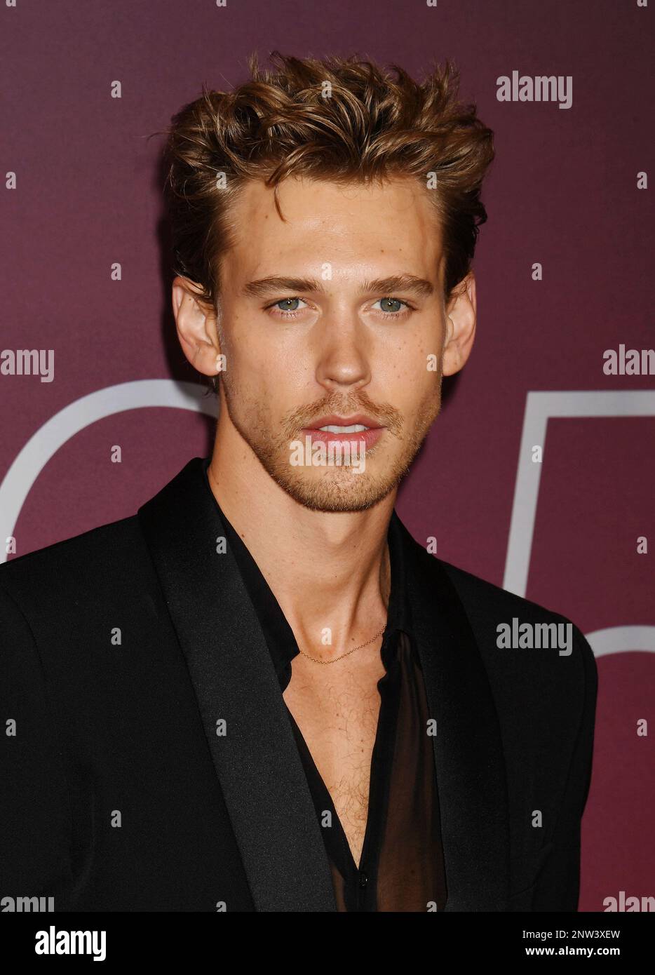 LOS ANGELES, CALIFORNIA - FEBRUARY 27: Austin Butler attends the 25th ...