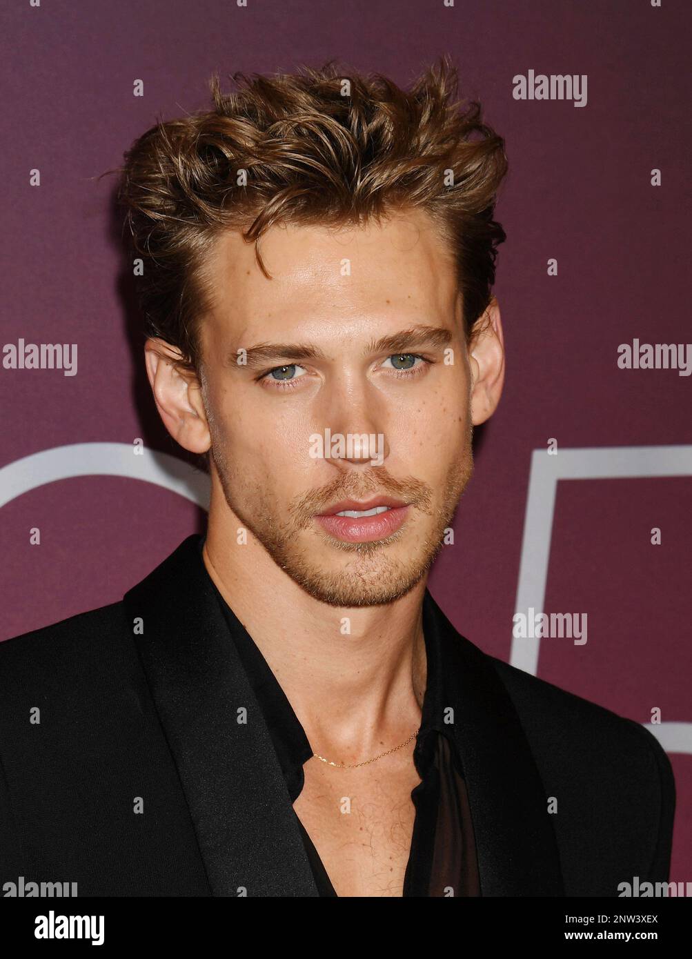 LOS ANGELES, CALIFORNIA - FEBRUARY 27: Austin Butler attends the 25th ...