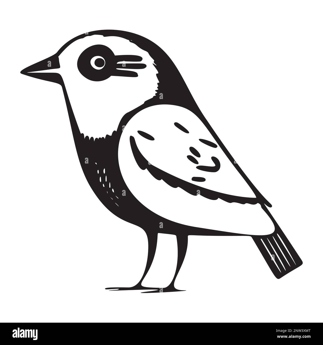 Cute bird vector illustration. Low brow ornithology wildlife motif ...