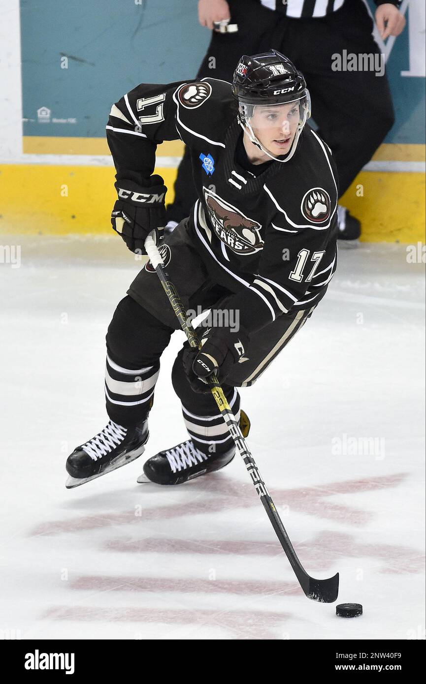 HERSHEY, PA - JANUARY 05: Hershey Bears center Mike Sgarbossa (17 ...