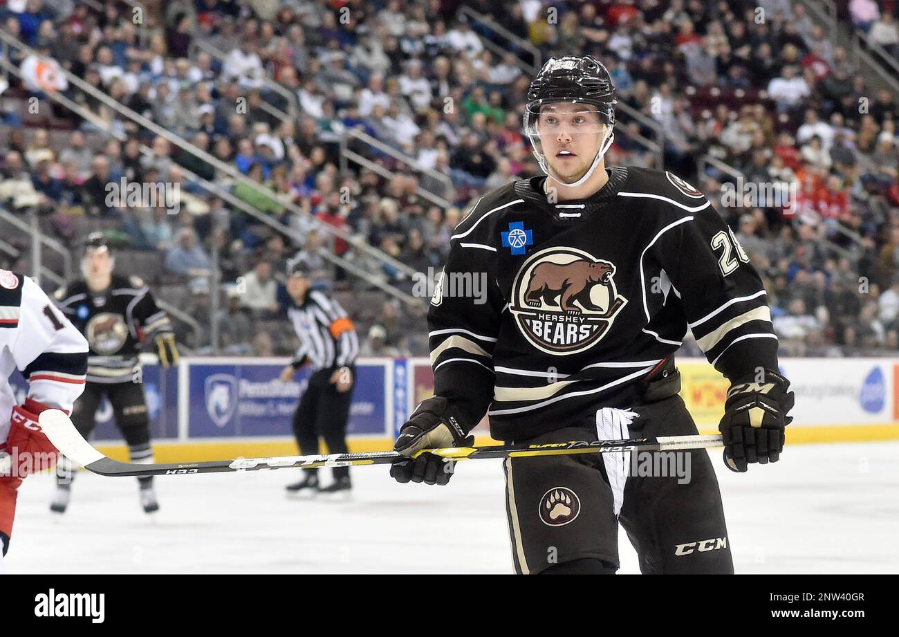 HERSHEY, PA - JANUARY 05: Hershey Bears center Brian Pinho (28) waits ...