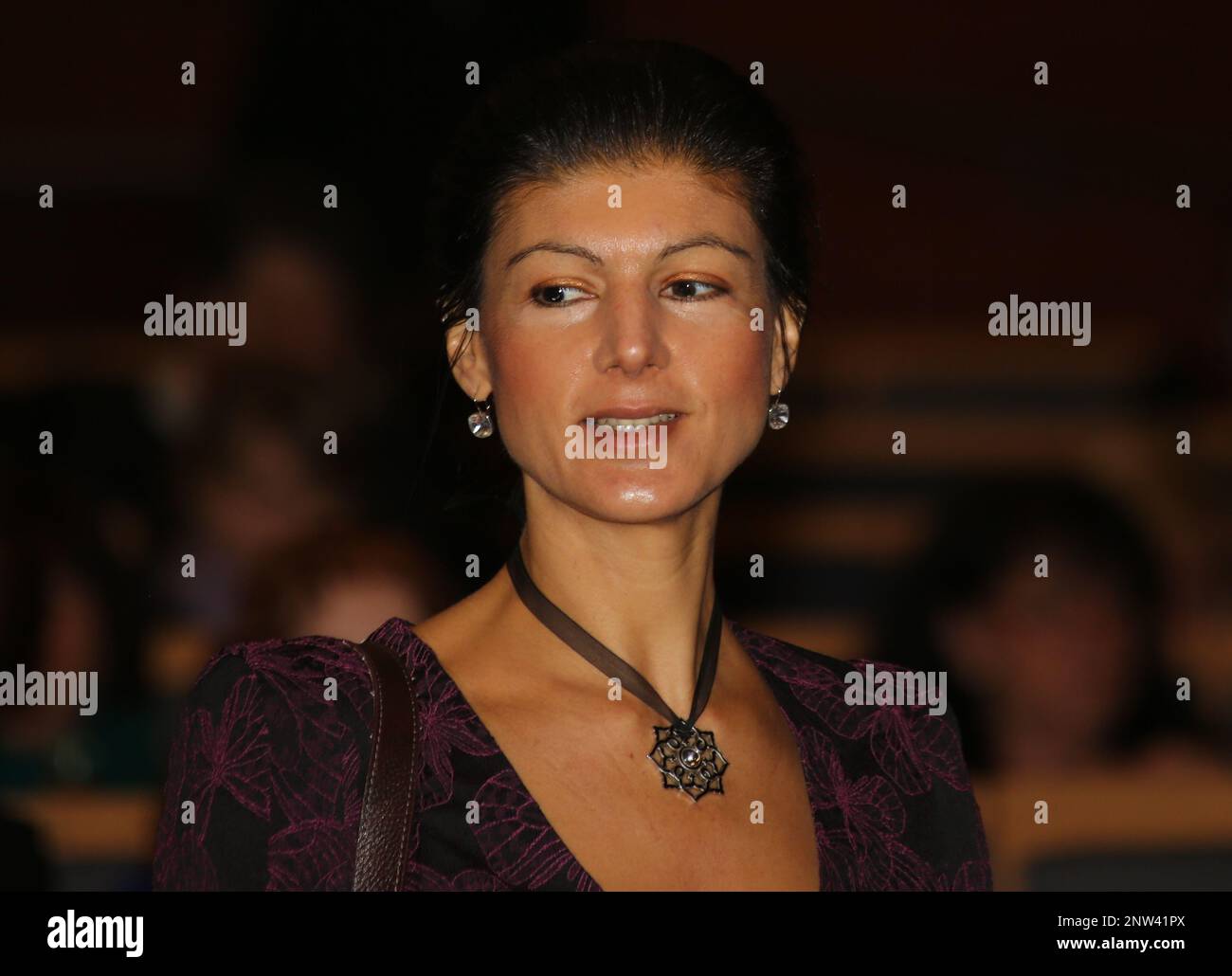 Sahra Wagenknecht auf dem Parteitag der LINKEN 2014 in Hamburg Stock ...