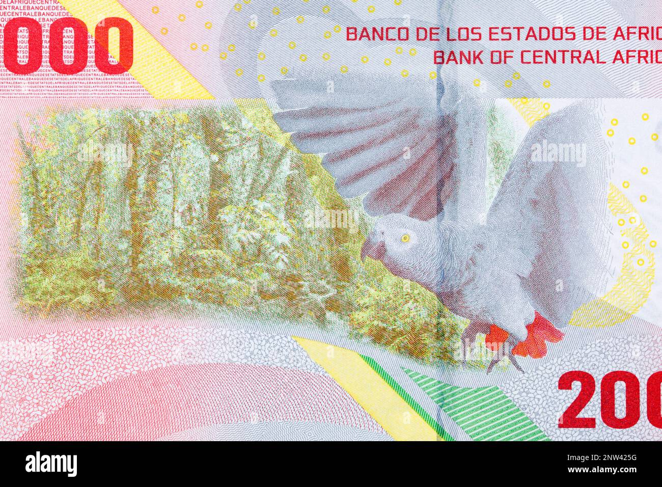 Jungle scene from Central African States money - 2000 Francs Stock ...