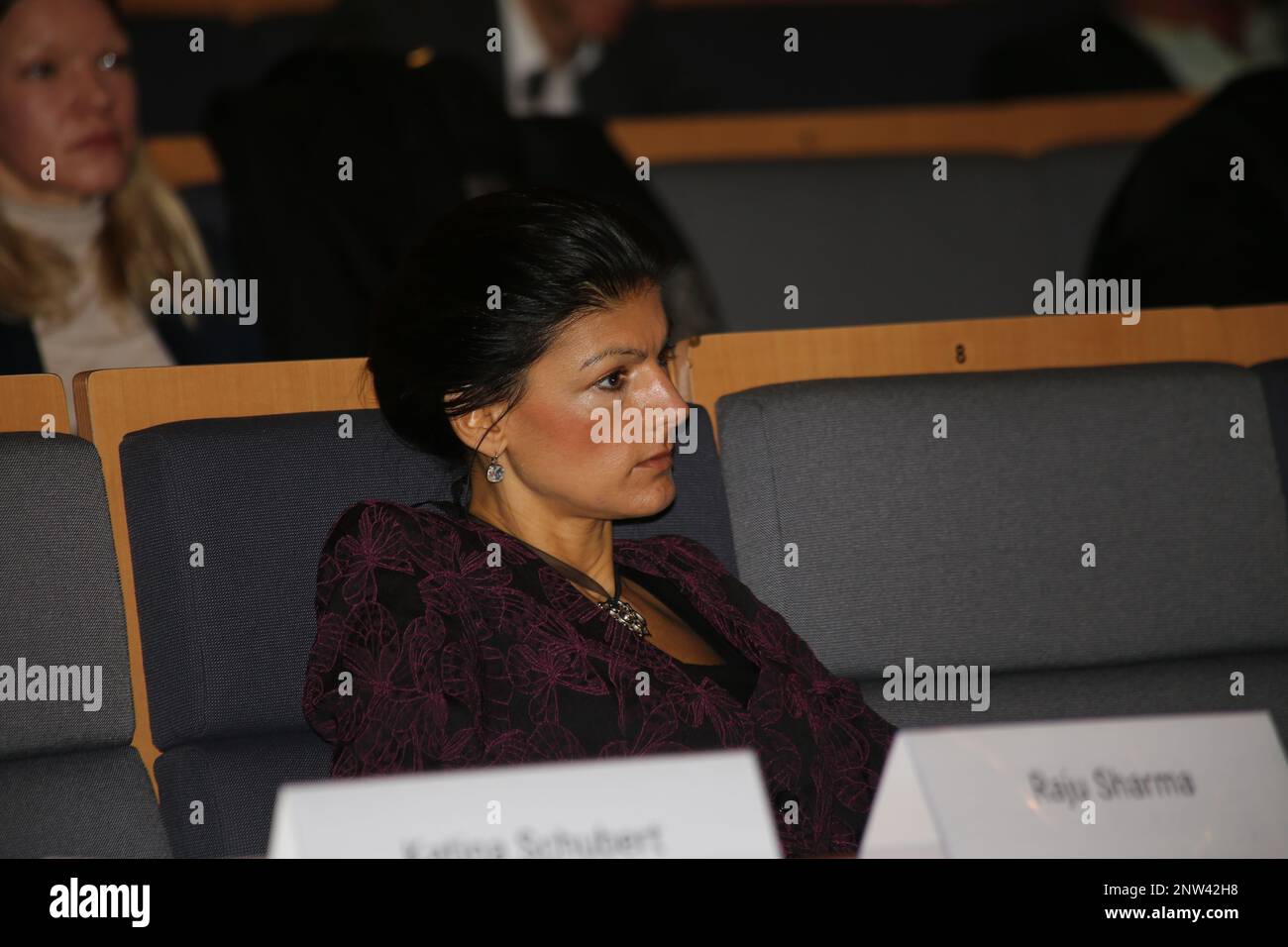 Sahra Wagenknecht auf dem Parteitag der LINKEN 2014 in Hamburg Stock ...