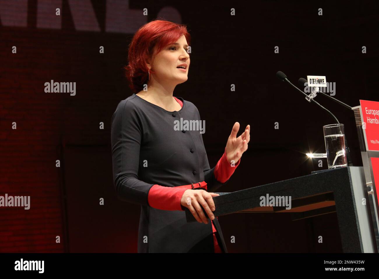 Katja Kipping auf dem Parteitag der LINKEN 2014 in Hamburg Stock Photo ...
