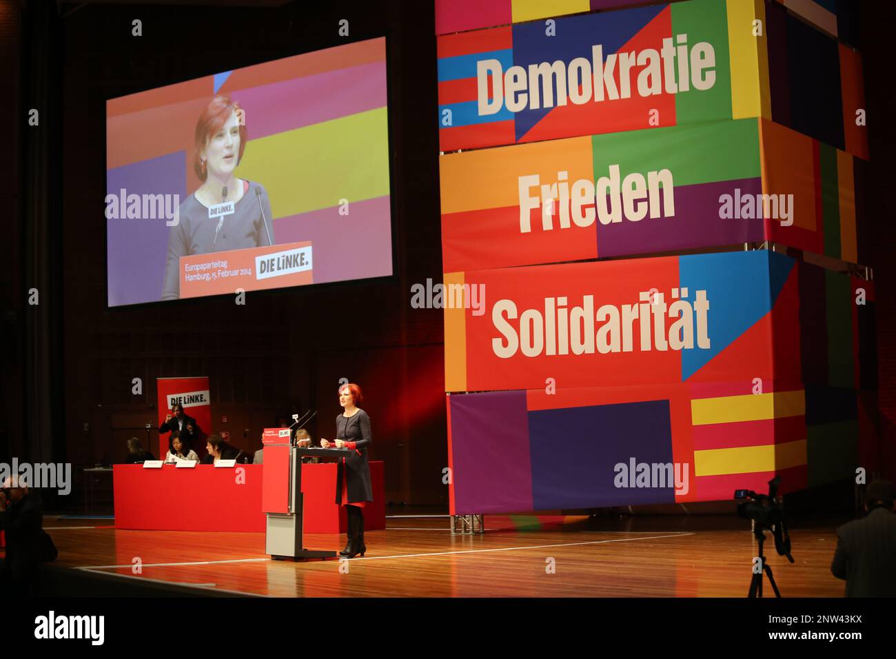 Katja Kippling auf dem Parteitag der LINKEN 2014 in Hamburg Stock Photo ...