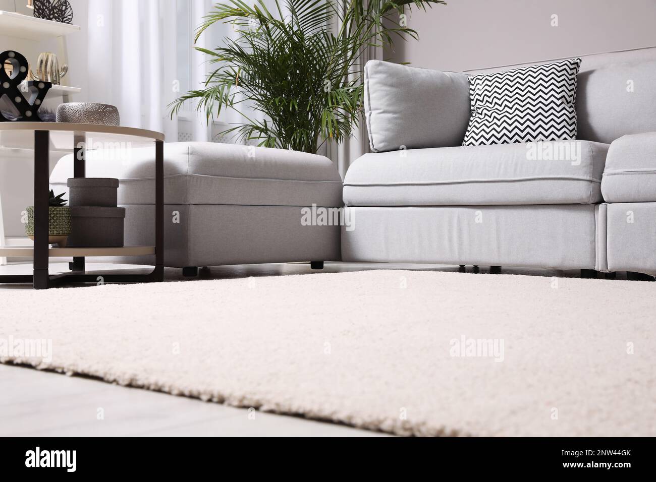 Living room interior with soft carpet and stylish furniture Stock Photo ...