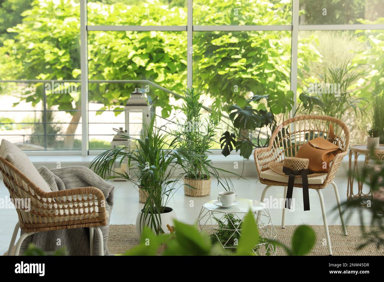 Indoor terrace interior with elegant furniture and houseplants Stock ...