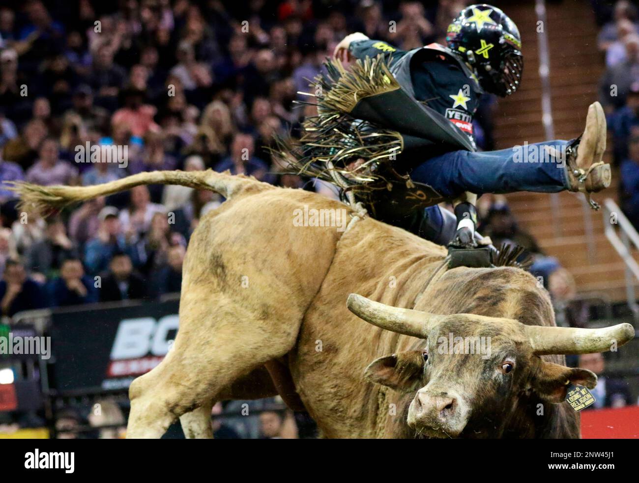 January 6, 2019 - New York, New York, U.S - CODY TEEL in the PBR ...