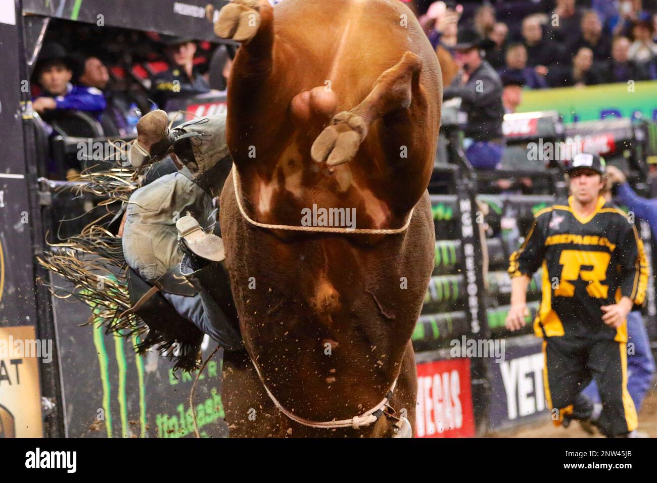 January 6, 2019 - New York, New York, U.S - Bull rider CODY JESUS ...