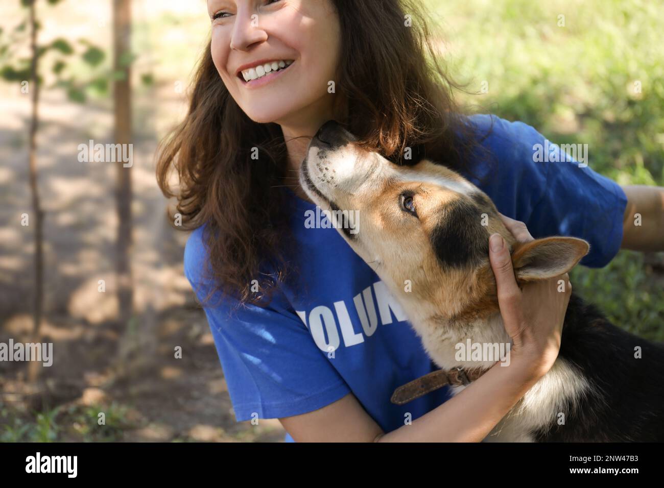 Volunteer with homeless dog in animal shelter Stock Photo - Alamy