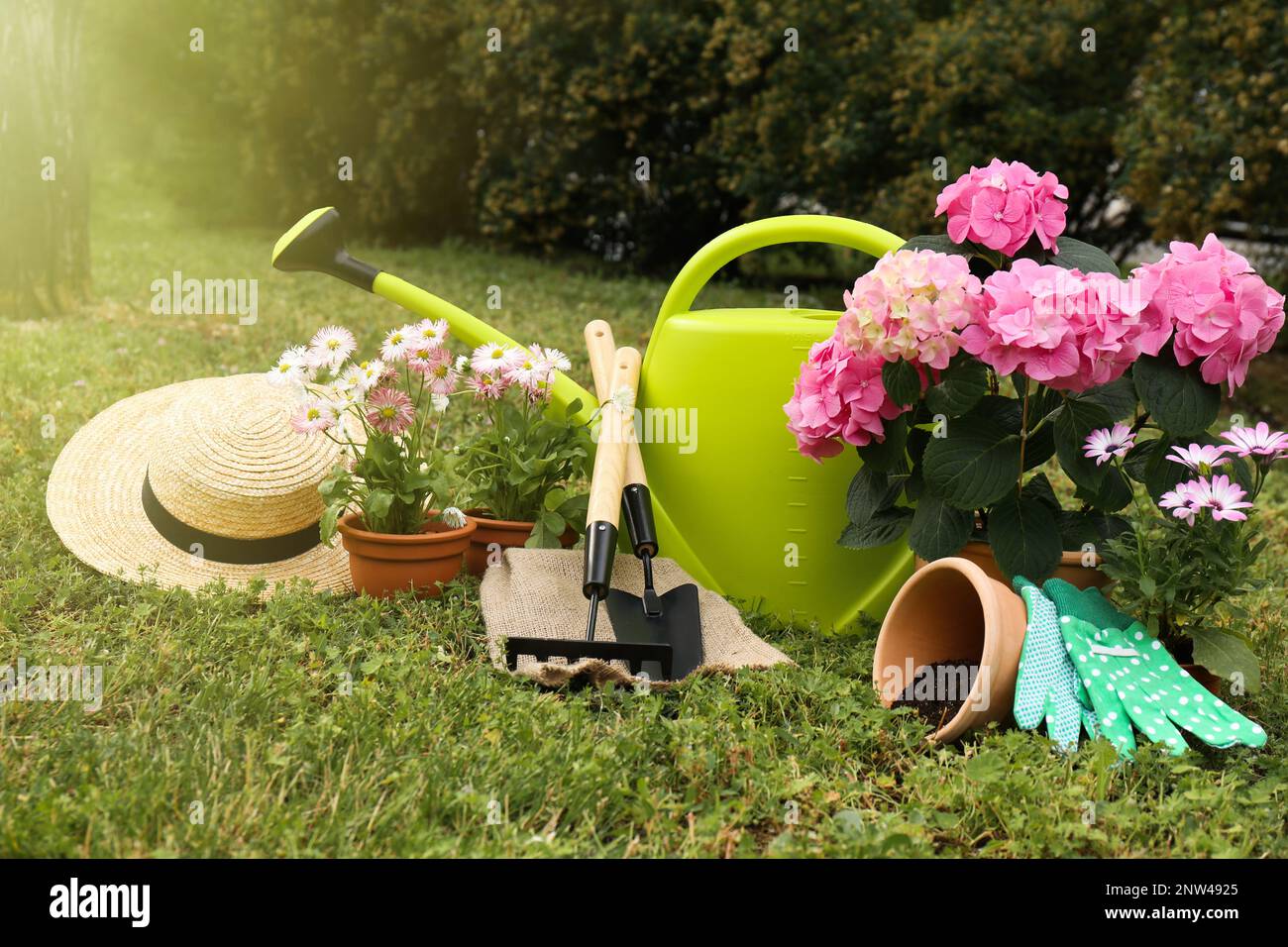 Beautiful blooming plants, gardening tools and accessories on green ...