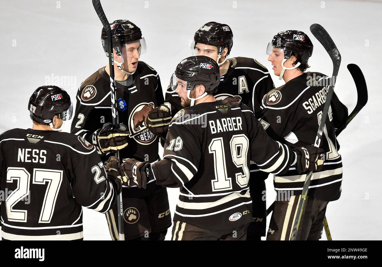 HERSHEY, PA - JANUARY 05: Hershey Bears defenseman Aaron Ness (27 ...