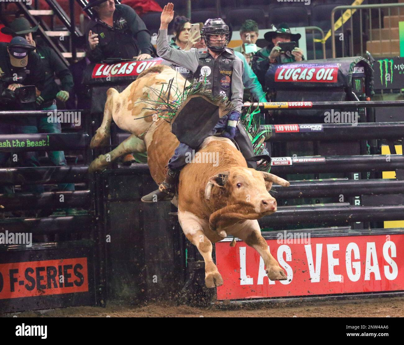 January 5, 2019 - New York, New York, U.S - Professional Bull Rider ...