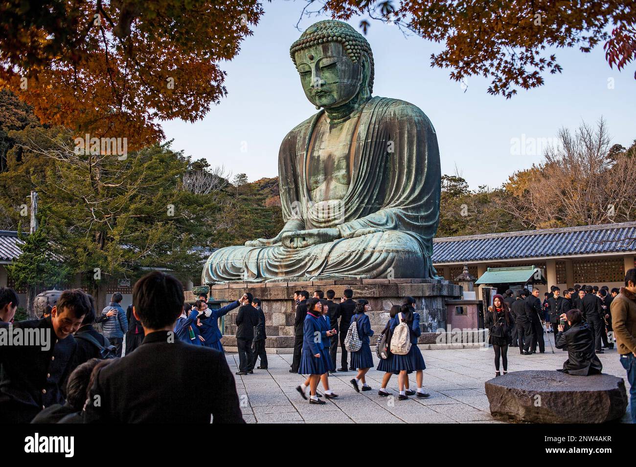 The Daibutsu (bronze Great Buddha). Kotoku-in Temple, Kamakura, Japan ...