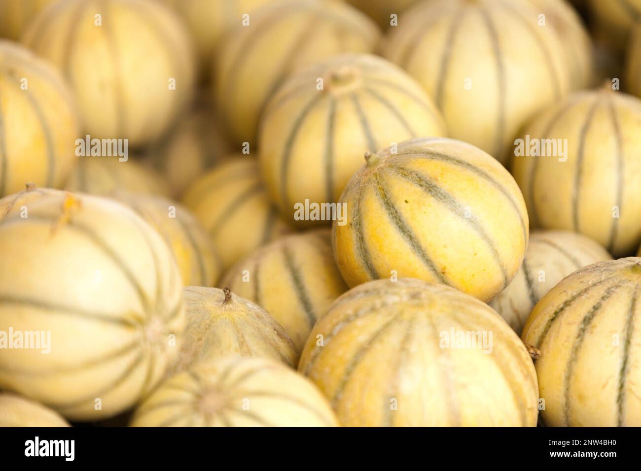 Full frame close-up on a stack of Charentais melons on a market stall ...