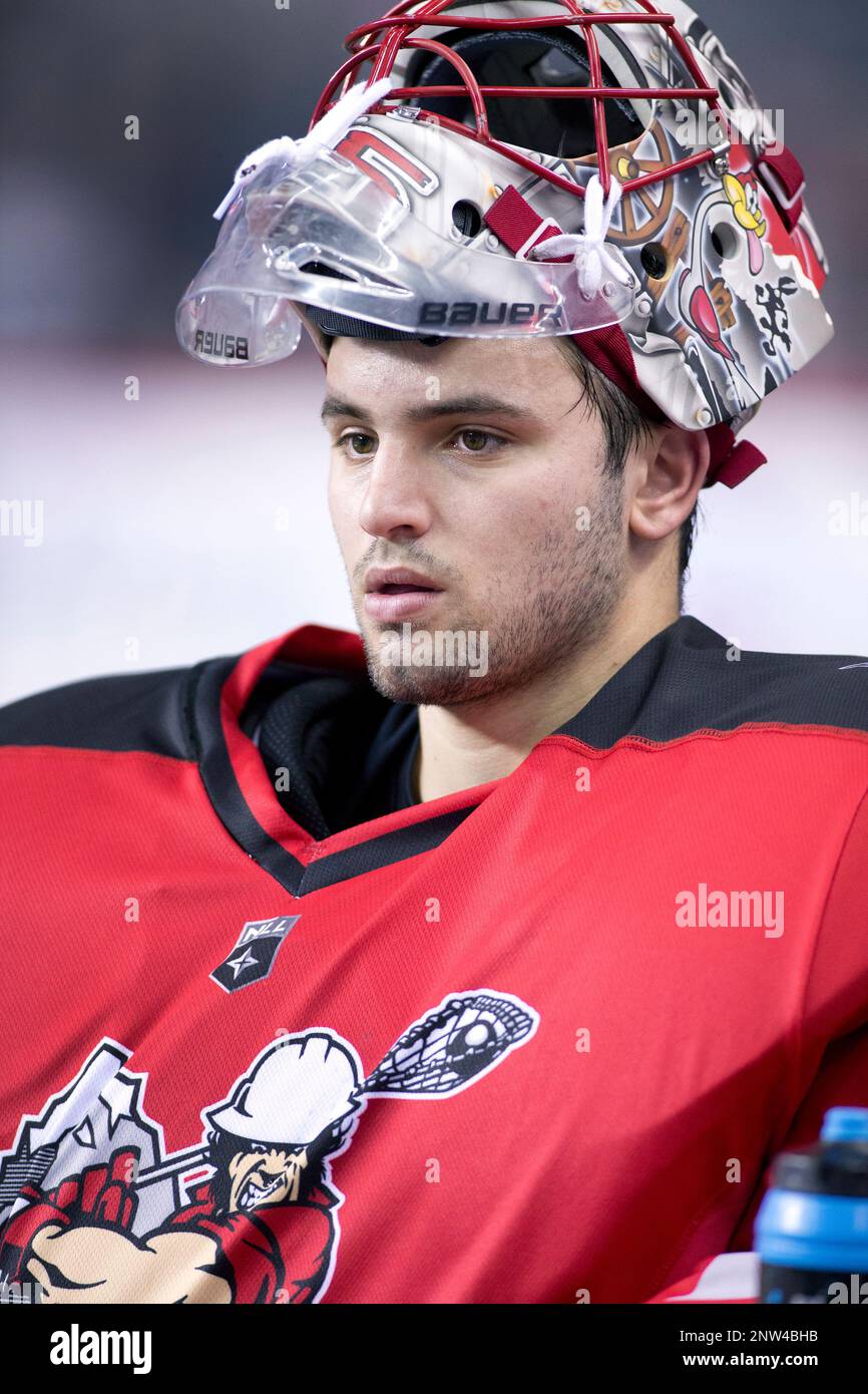 Nll Goalie