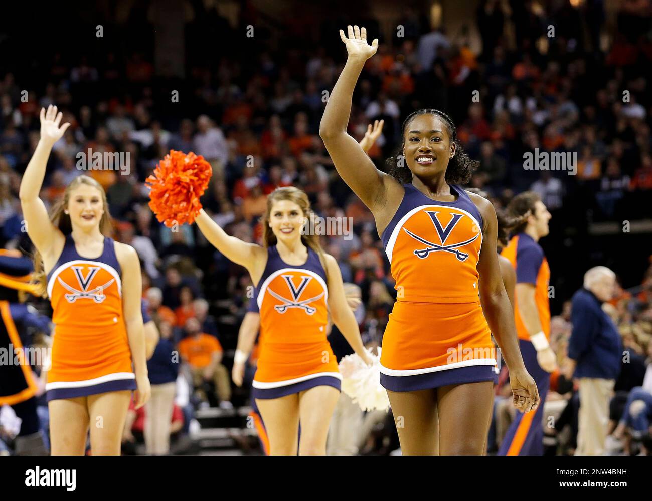 CHARLOTTESVILLE, VA - JANUARY 05: Virginia Cavalier cheerleaders ...