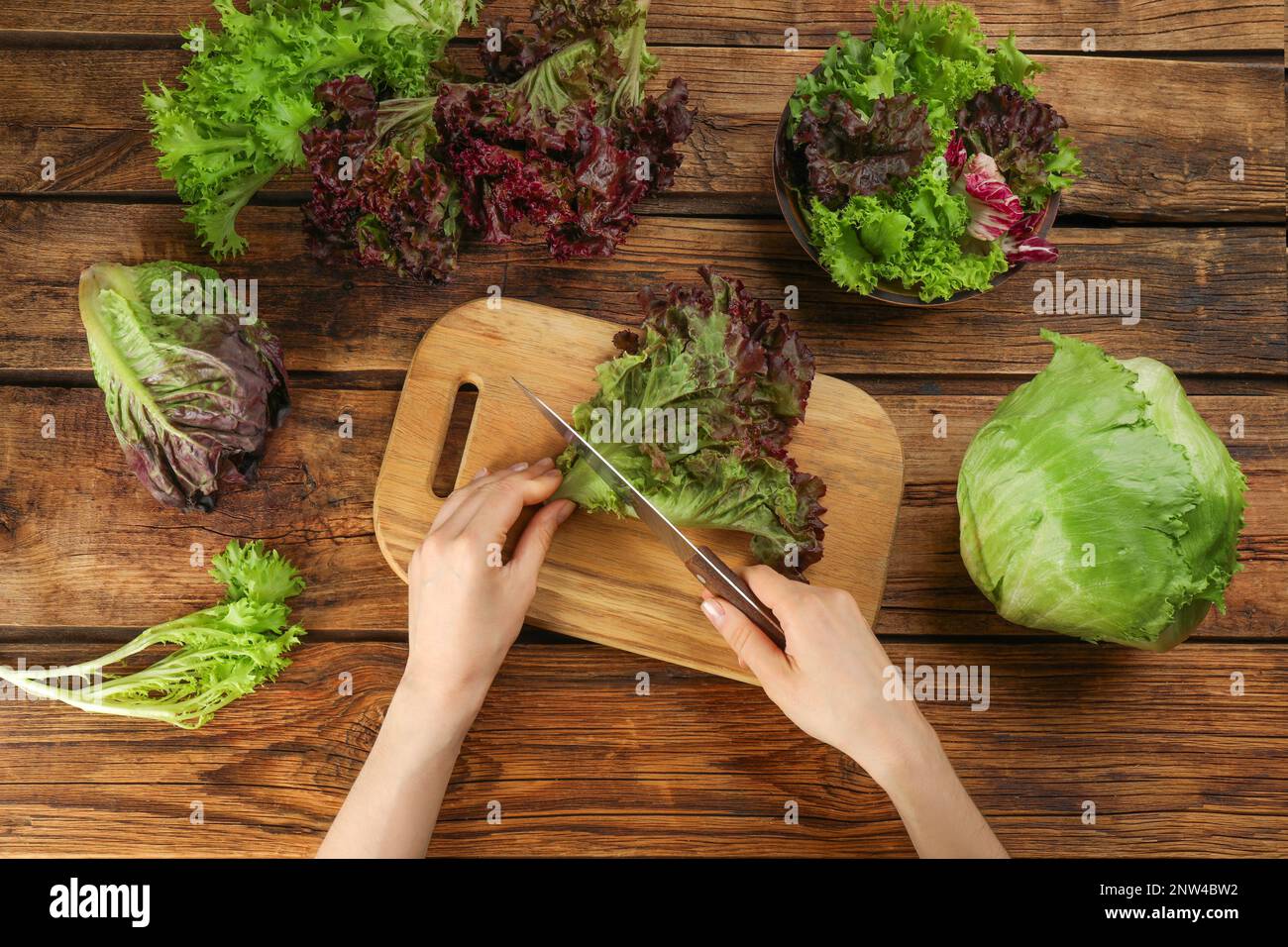 Cutting lettuce garden hi-res stock photography and images - Alamy