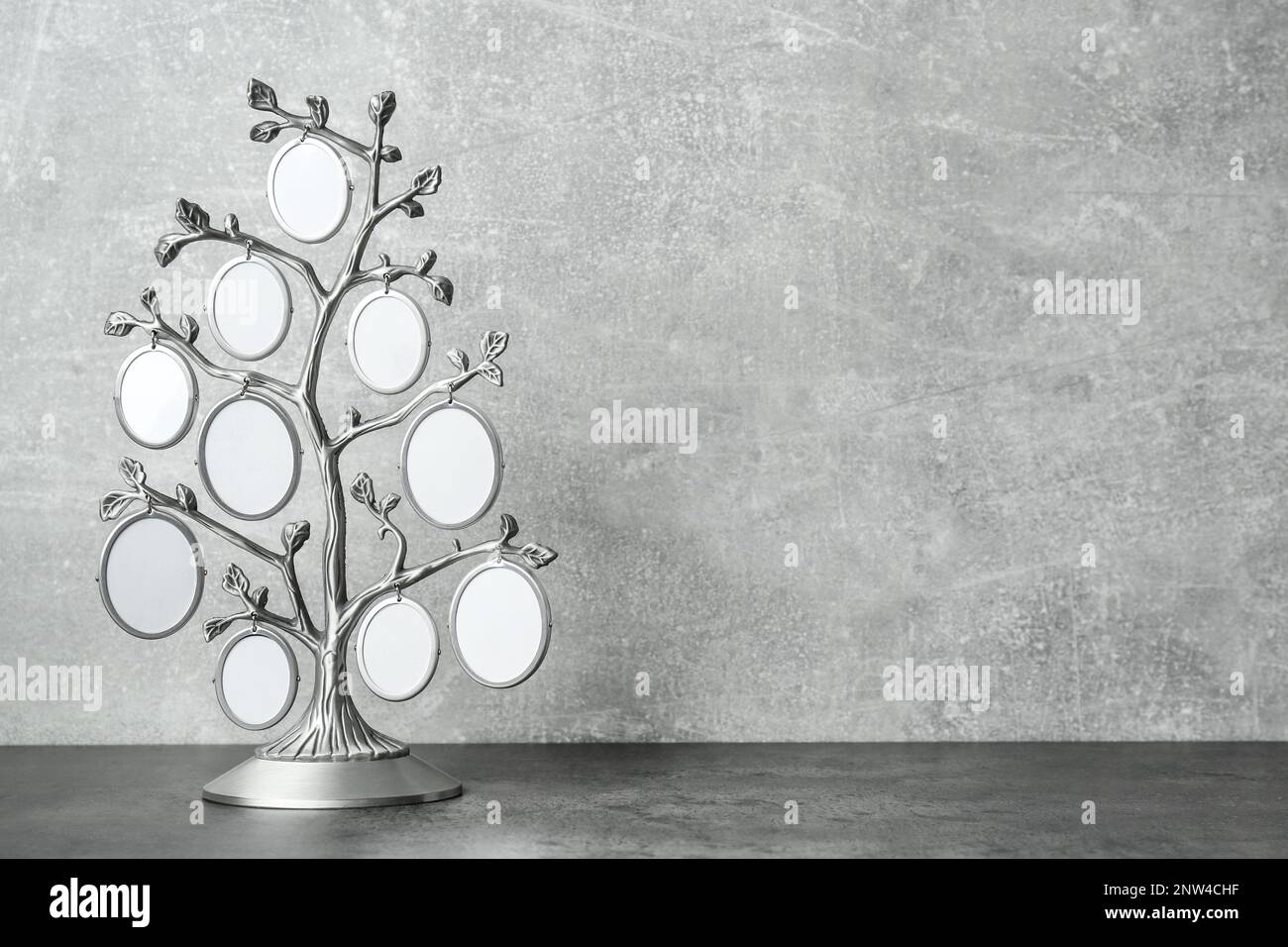 Blank metal family tree frame on black table. Space for text Stock ...