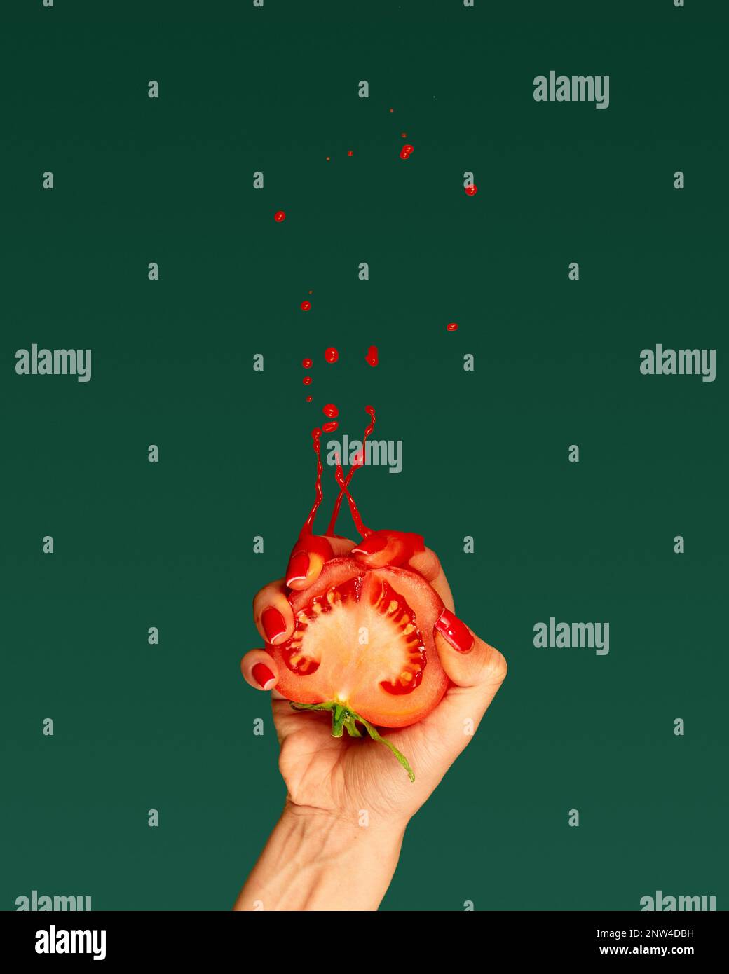 Fresh useful veggies. Female hand squeeze tomato and drops of tomato ...