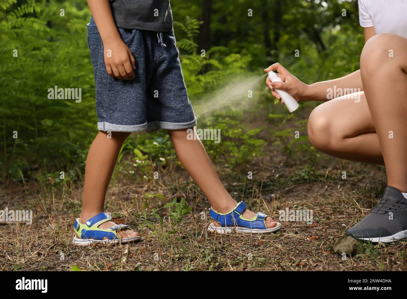 Woman applying insect repellent on her son's leg in park, closeup. Tick ...