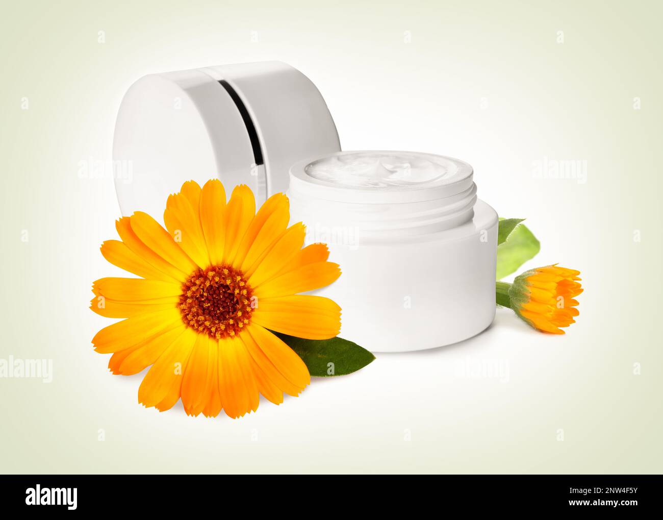 Body cream with calendula extract on light background. Natural based ...