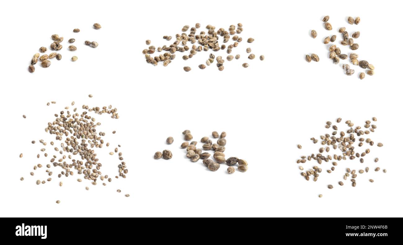Set with hemp seeds on white background. Banner design Stock Photo - Alamy