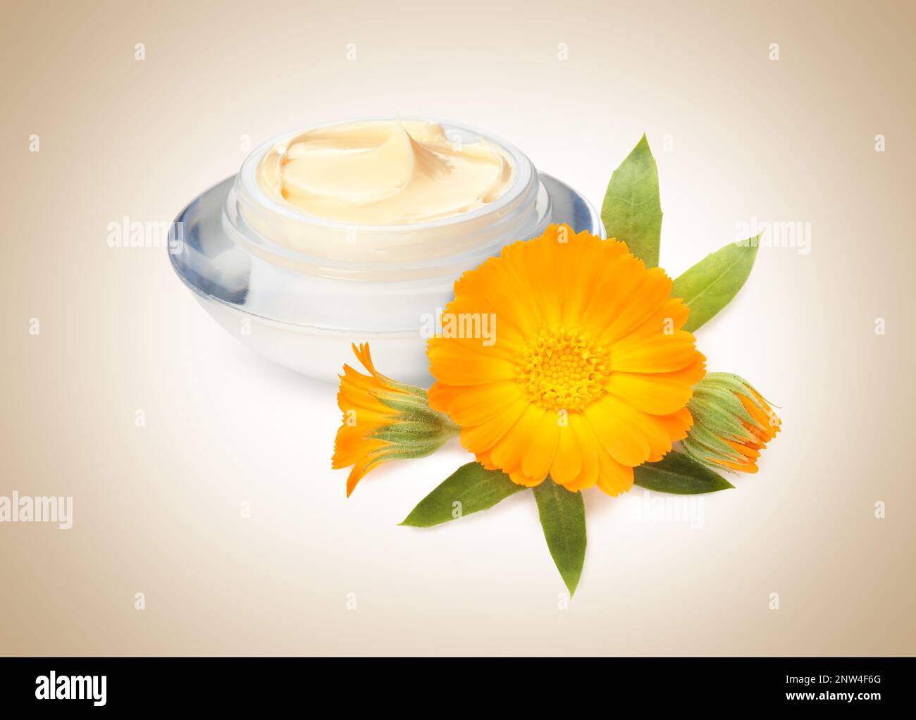 Body cream with calendula extract on light background. Natural based ...