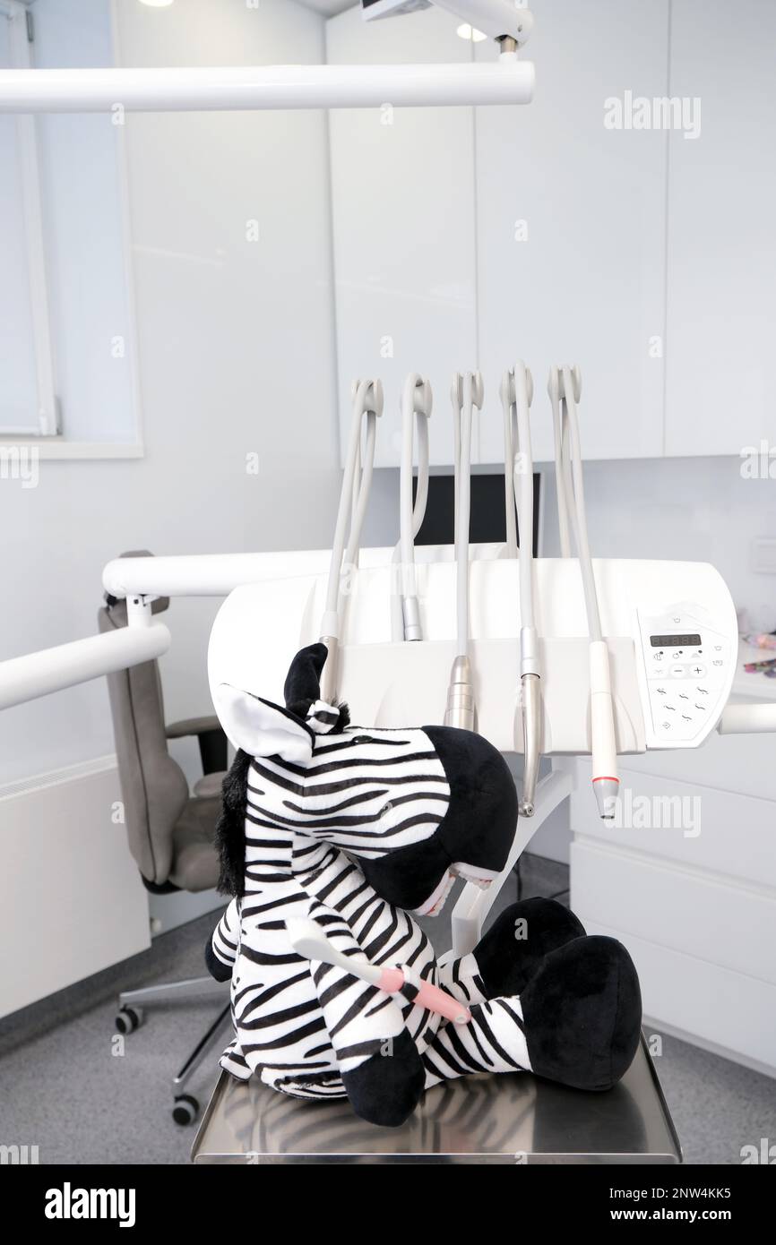 dental office for children Zebra toy soft toy with real teeth sits near ...