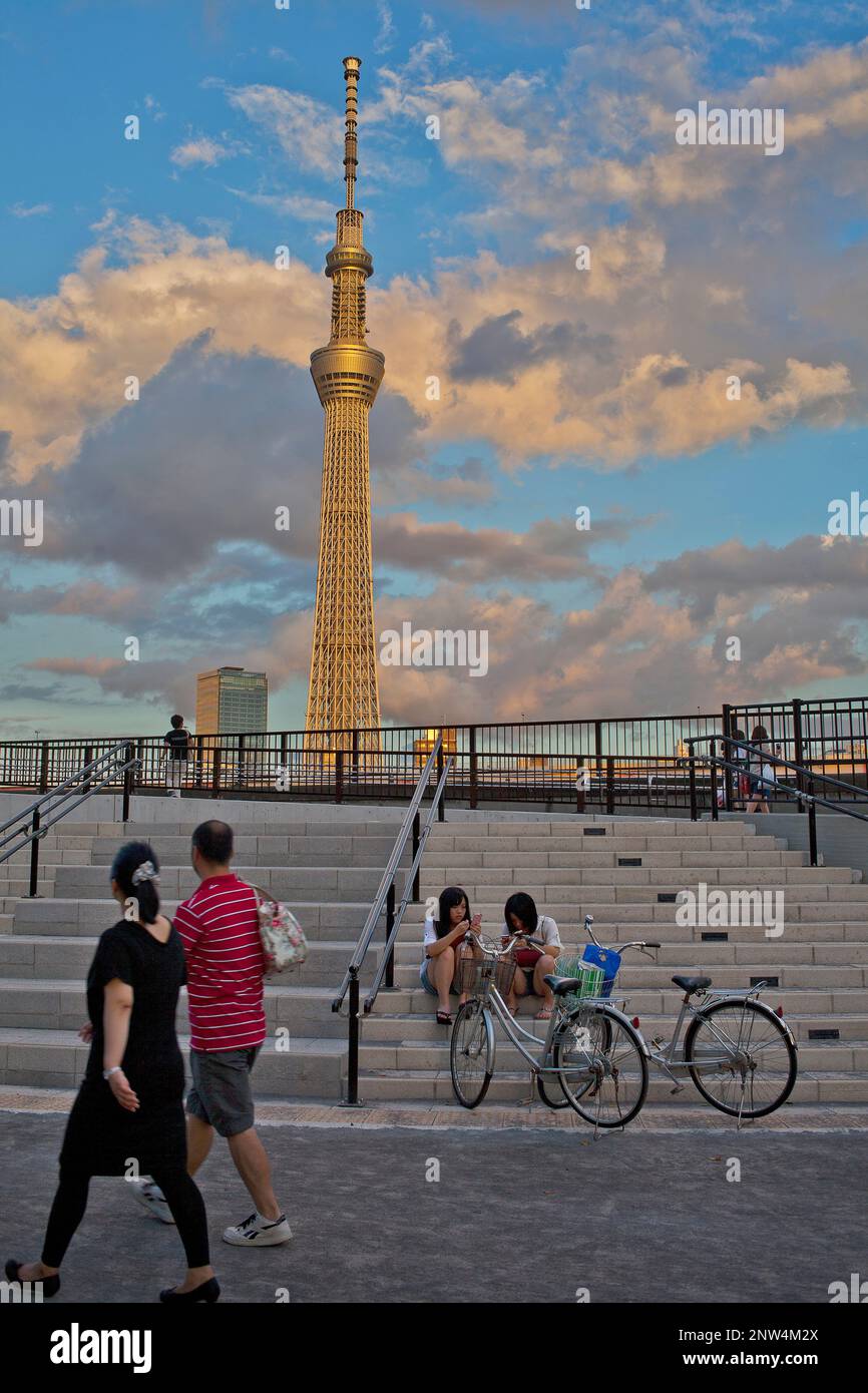Sky Tree from Sumida Koen Park, Asakusa District, Tokyo, Japan Stock ...