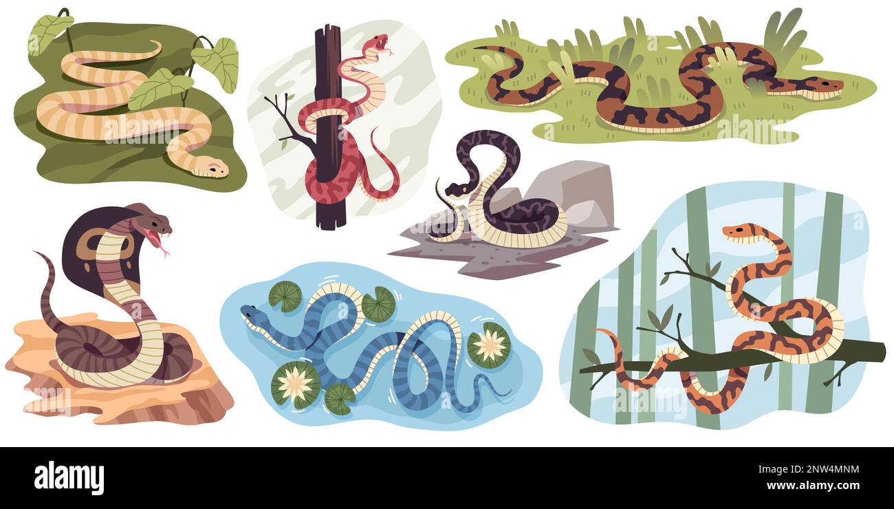 Snakes habitat. Different natural conditions, crawling scaly animals on ...