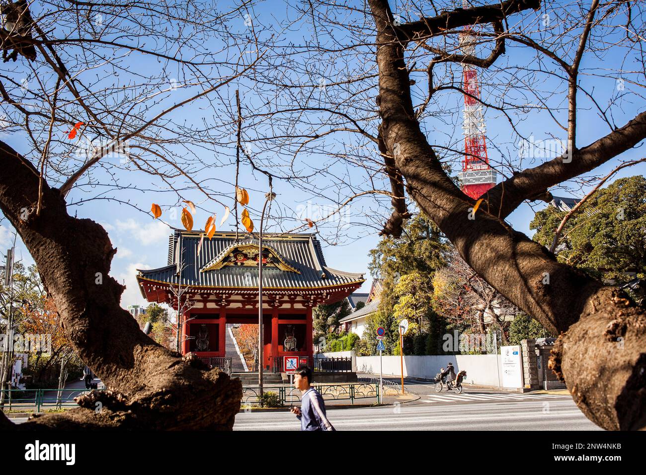 Zojoji Temple and Tokyo Tower, from Hibiya street, Tokyo, Japan Stock Photo - Alamy