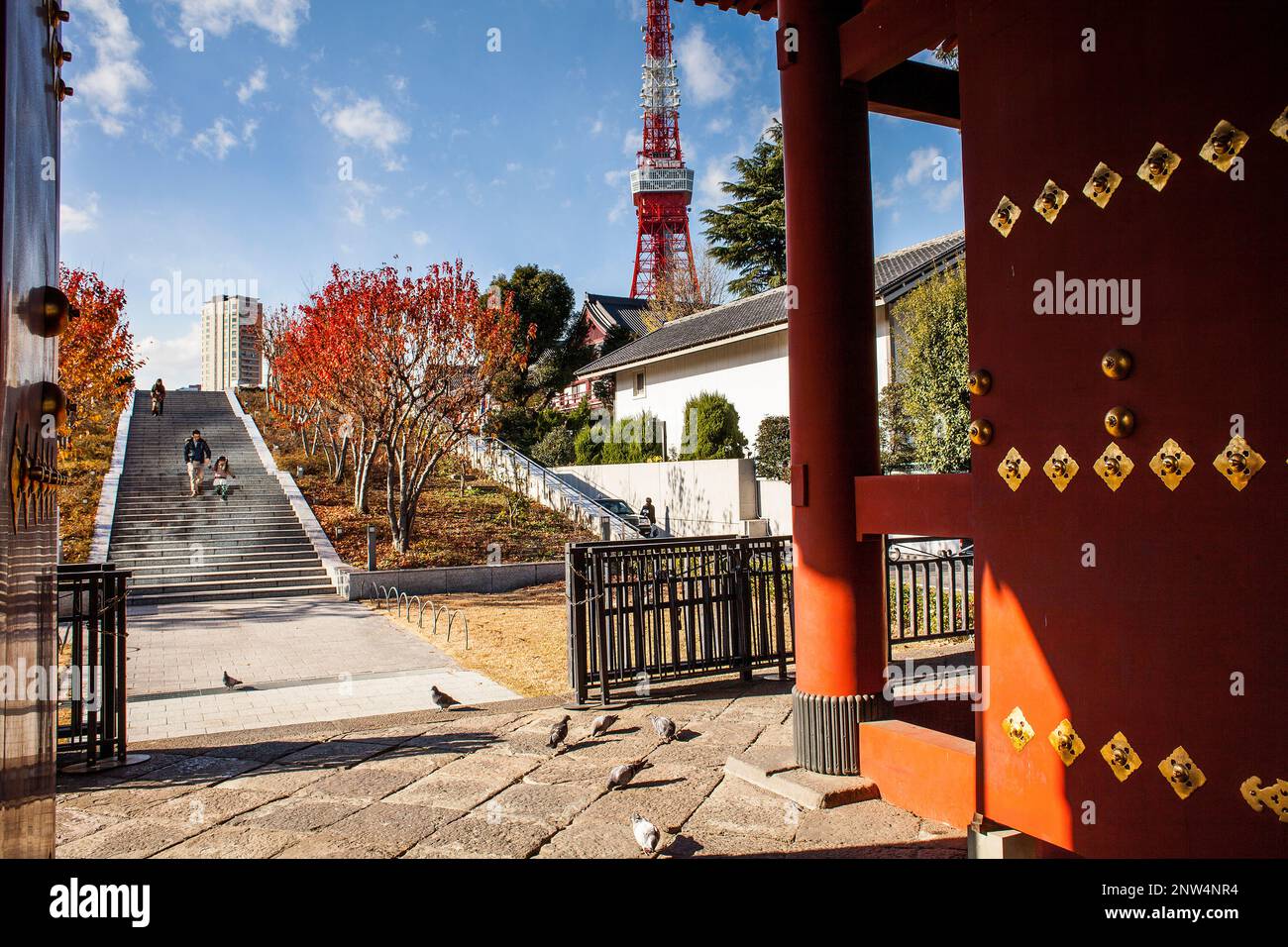 Zojoji Temple and Tokyo Tower, Tokyo, Japan Stock Photo - Alamy