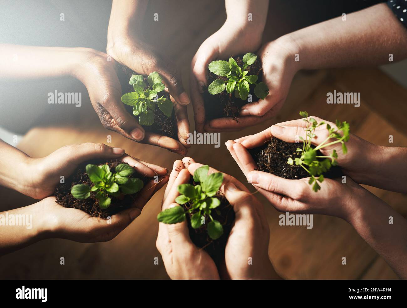 Little by little we can all make a difference. Cropped shot of a group ...