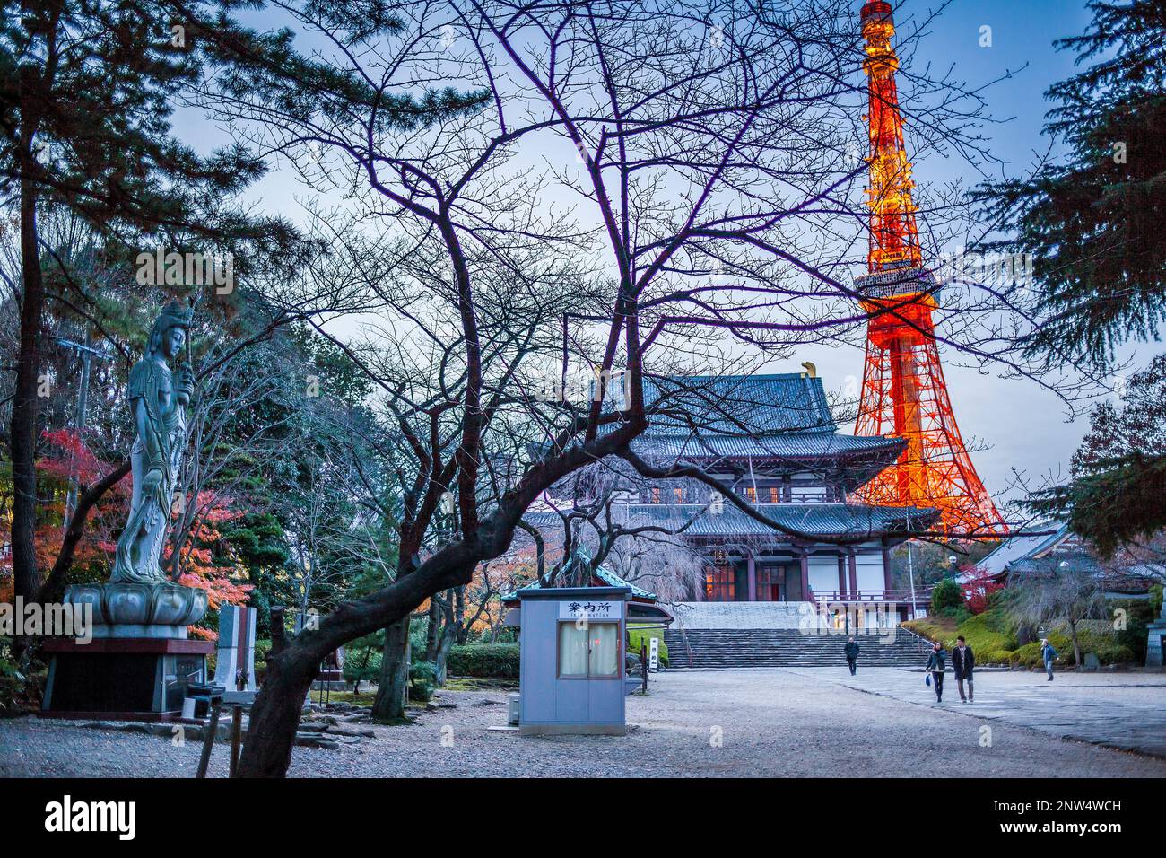 Zojoji Temple and Tokyo Tower, Tokyo, Japan Stock Photo - Alamy