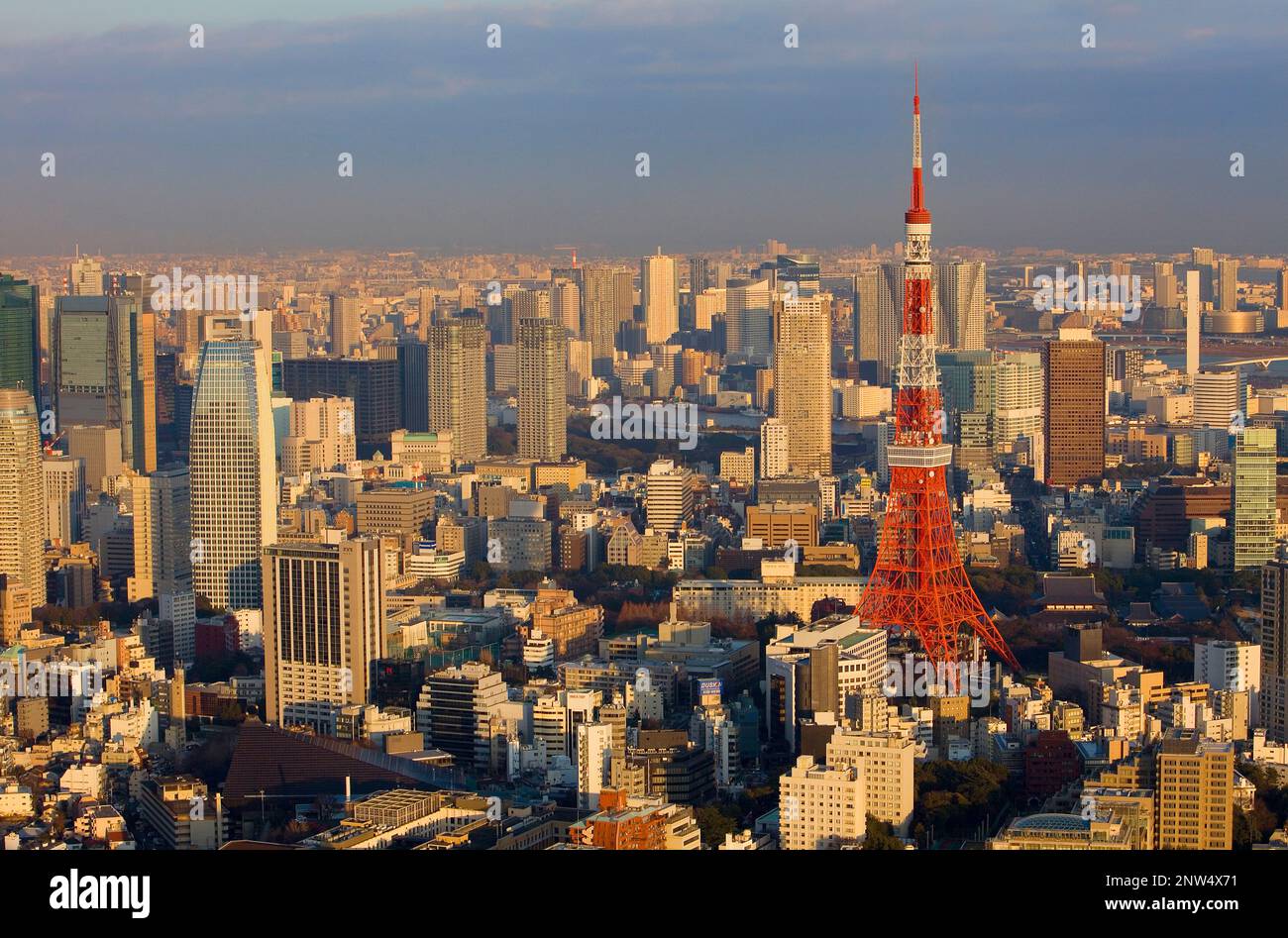 skyline of Tokyo. At right tokyo tower.Tokyo, Japan, Asia Stock Photo ...