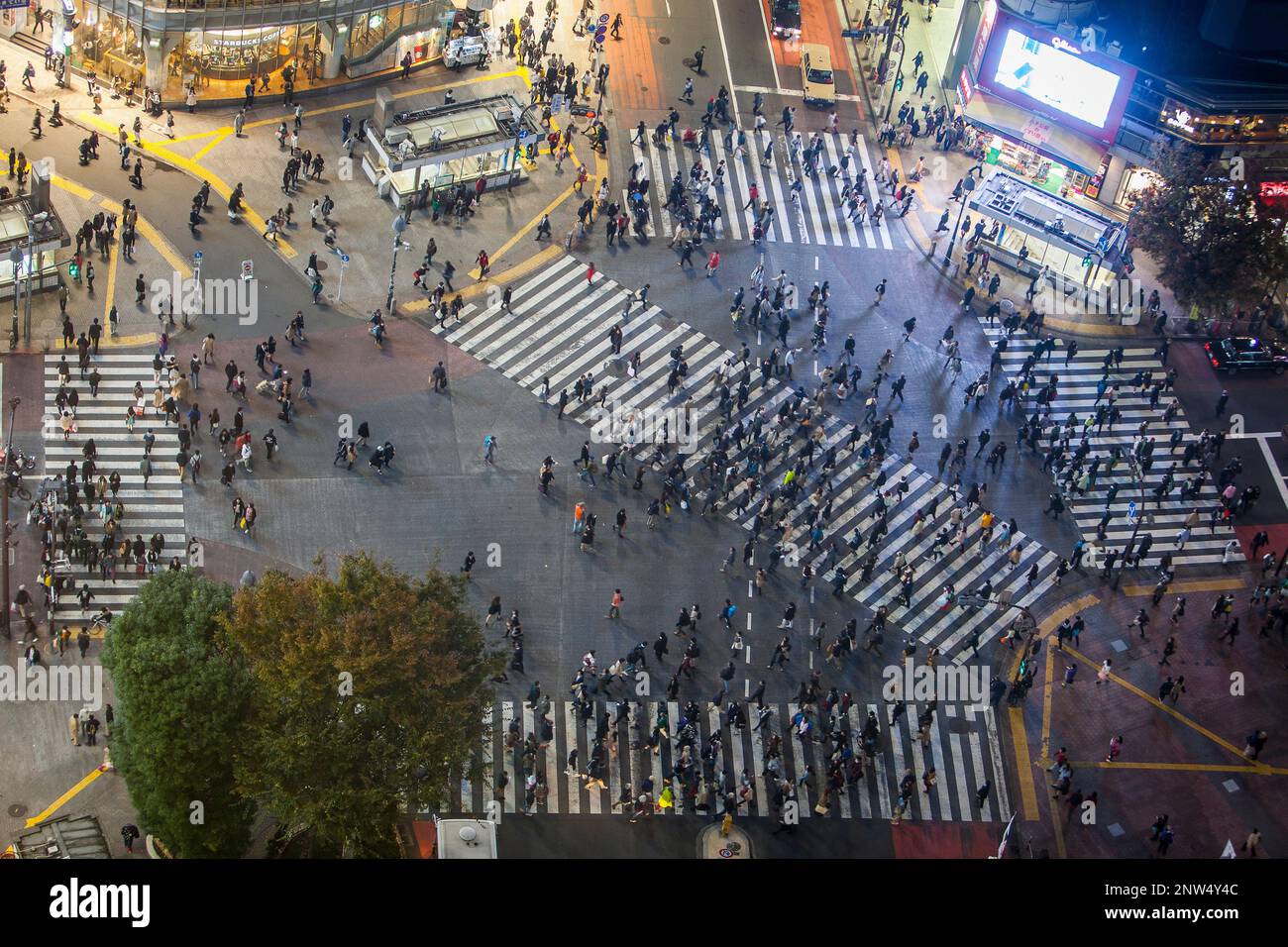 Shibuya Scramble Kousaten crossing in Hachiko square, Tokyo, Japan ...