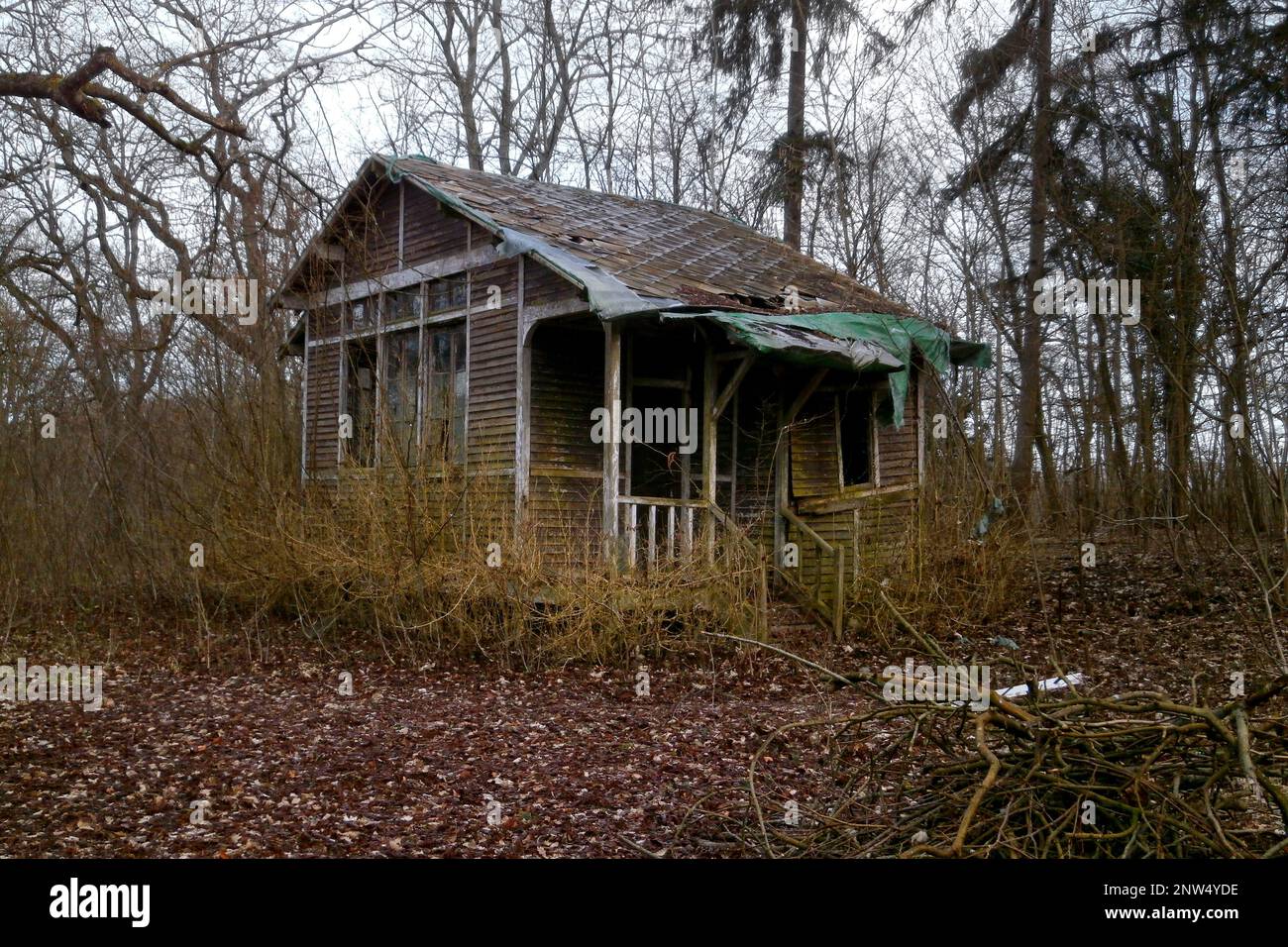 Abandoned cabin in the middle of the woods Stock Photo - Alamy